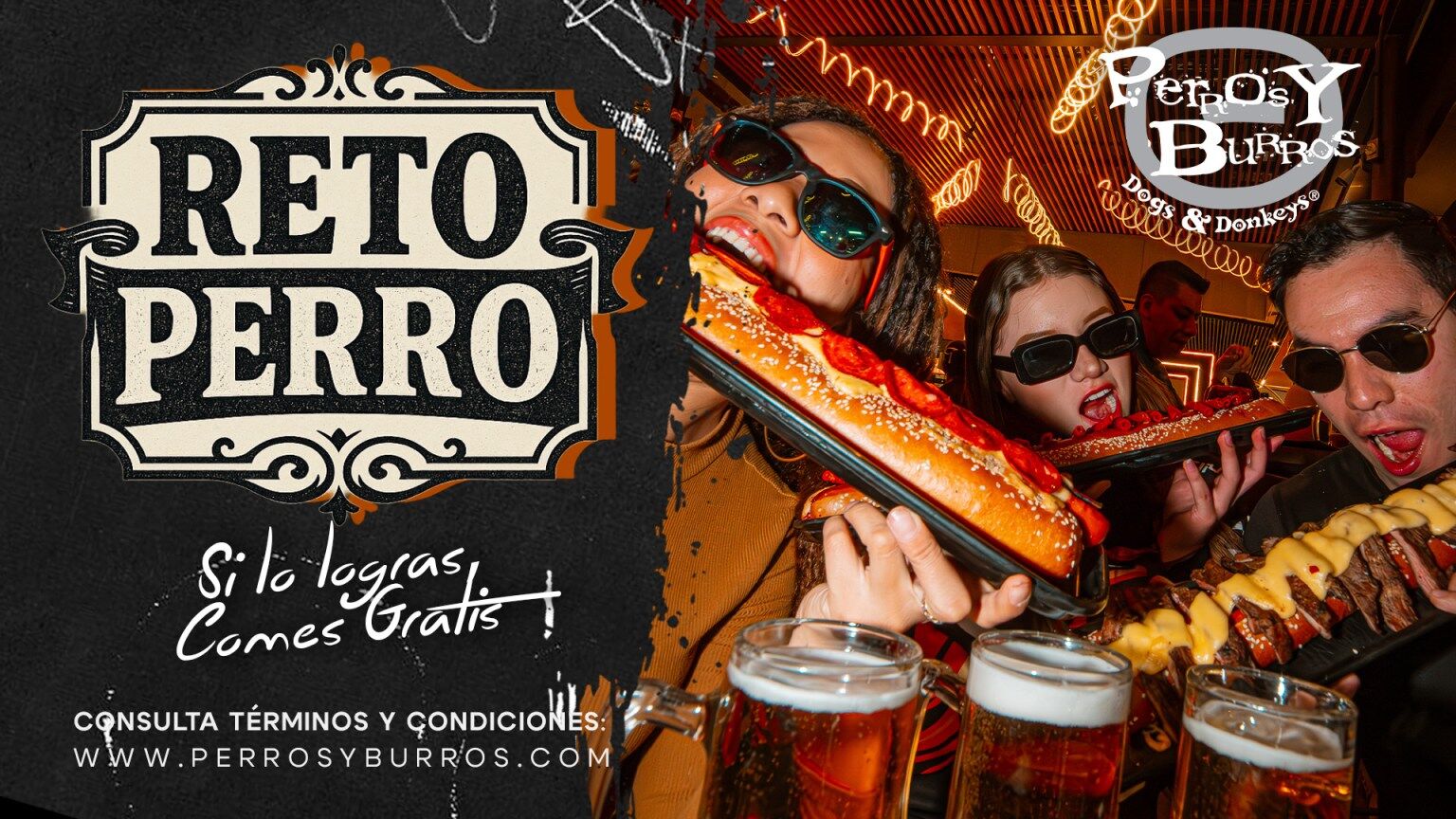 RETO PERRO – Perros y Burros